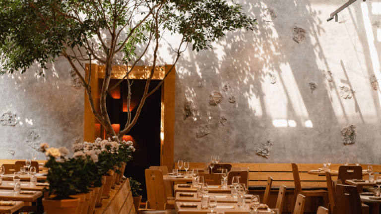 The Famous Roma Mexico City Neighborhood Ultimate Guide - VitePresenta