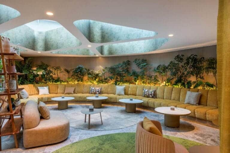 All You Need To Know About Condesa Mexico City Neighborhood