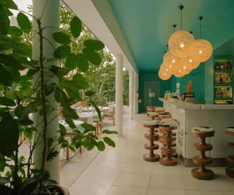 All You Need To Know About Condesa Mexico City Neighborhood
