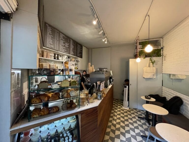 All You Need To Know About Condesa Mexico City Neighborhood