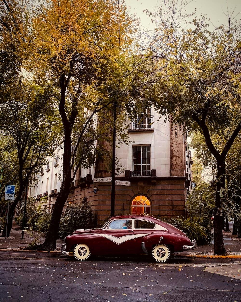 All You Need To Know About Condesa Mexico City Neighborhood