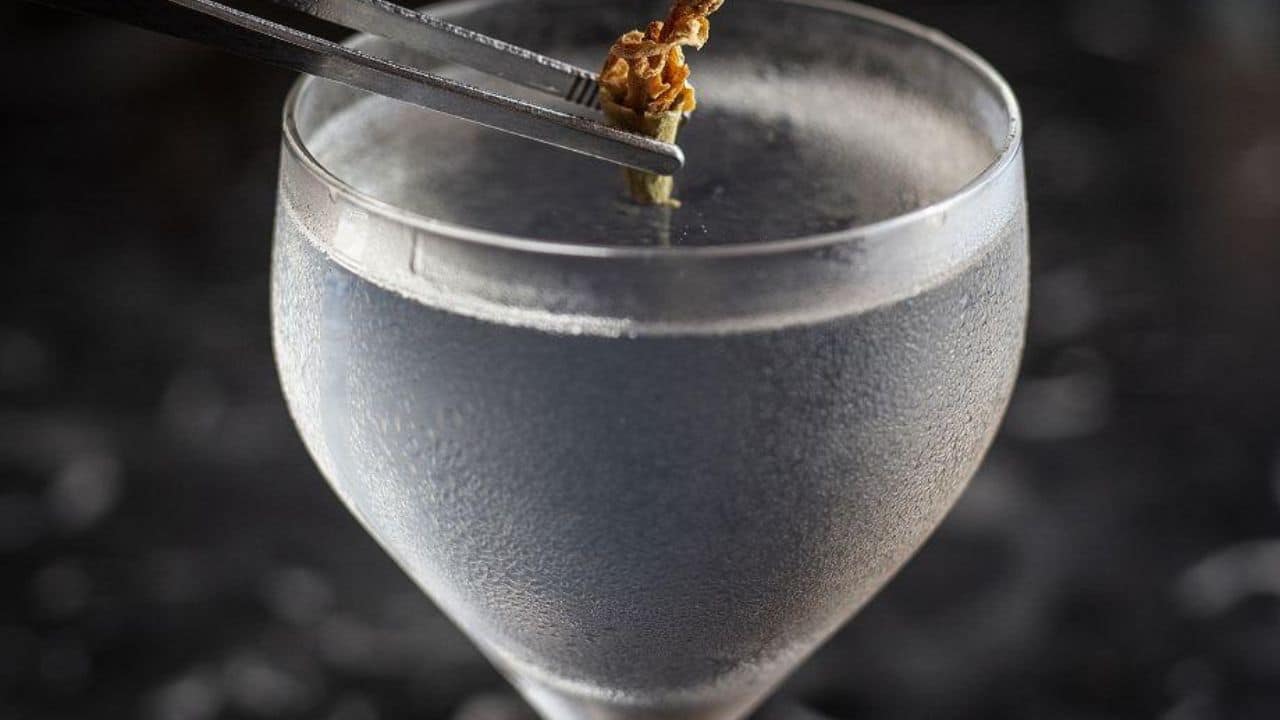 Discover Ticuchi Mexico City - An Amazing Cocktail Bar - VitePresenta