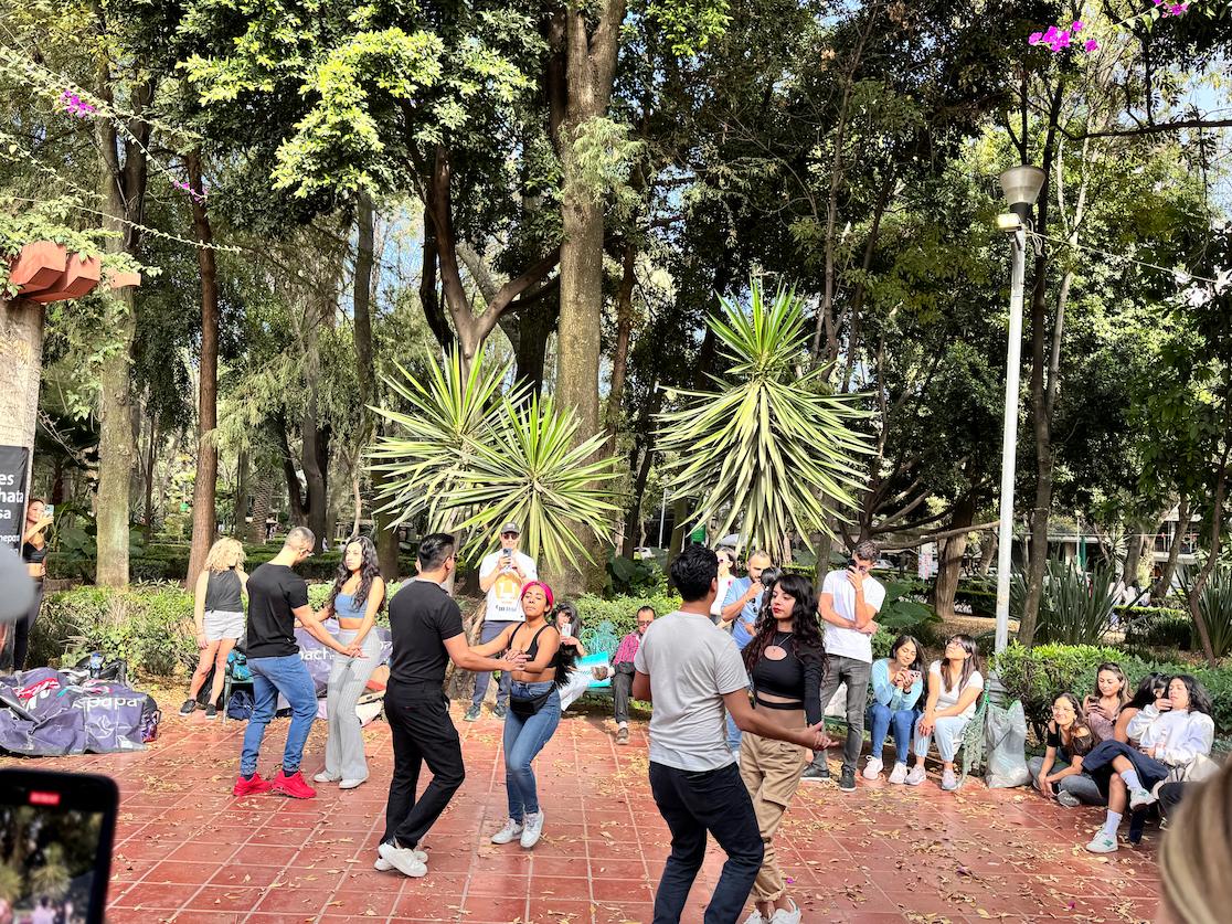 The Ultimate Guide Of Things To Do In Parque México Condesa - VitePresenta