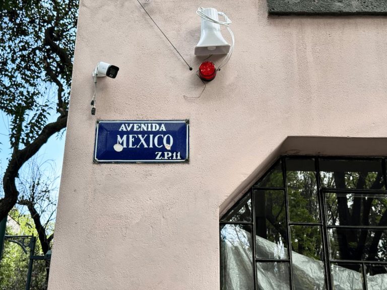 The Ultimate Guide Of Things To Do In Parque México Condesa - VitePresenta